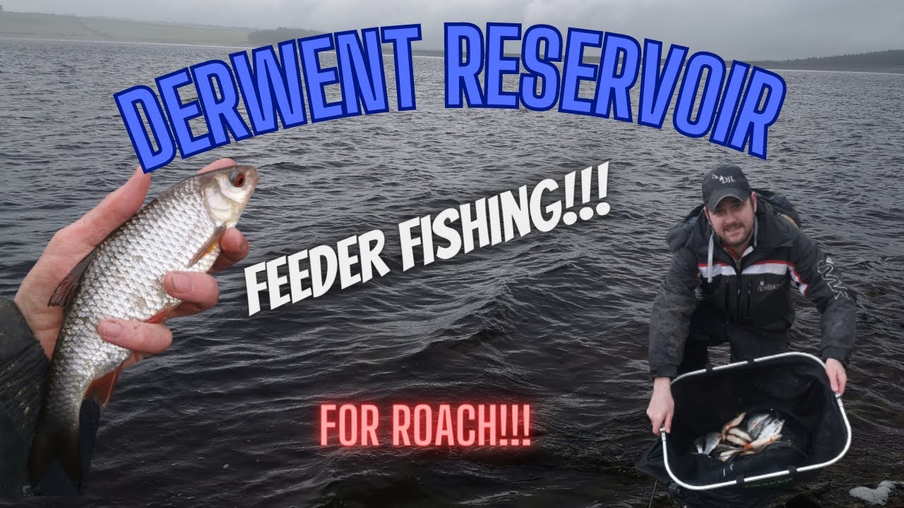 ROACH FISHING in WILD conditions!! FEEDER fishing for BIG ROACH ...