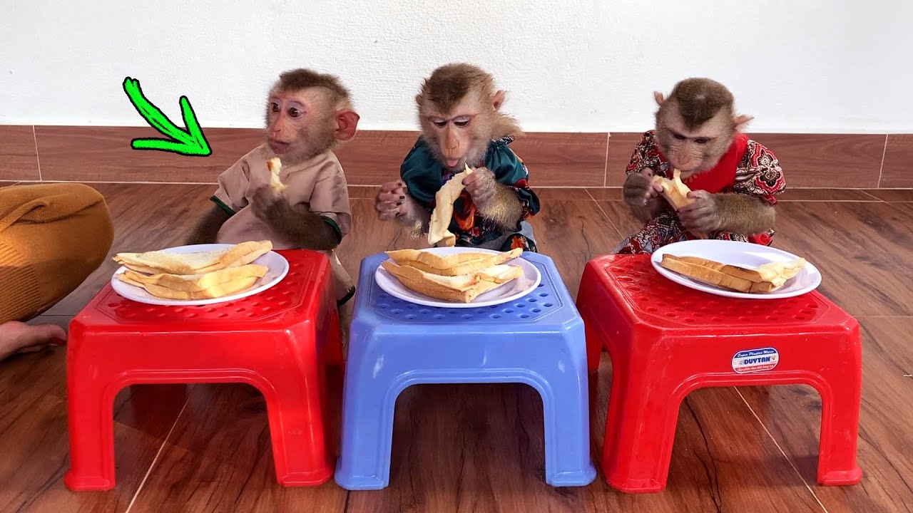 Kinq Flloyd With 2 Genius Siblings Enjoy Their Early Breakfast - YouTube