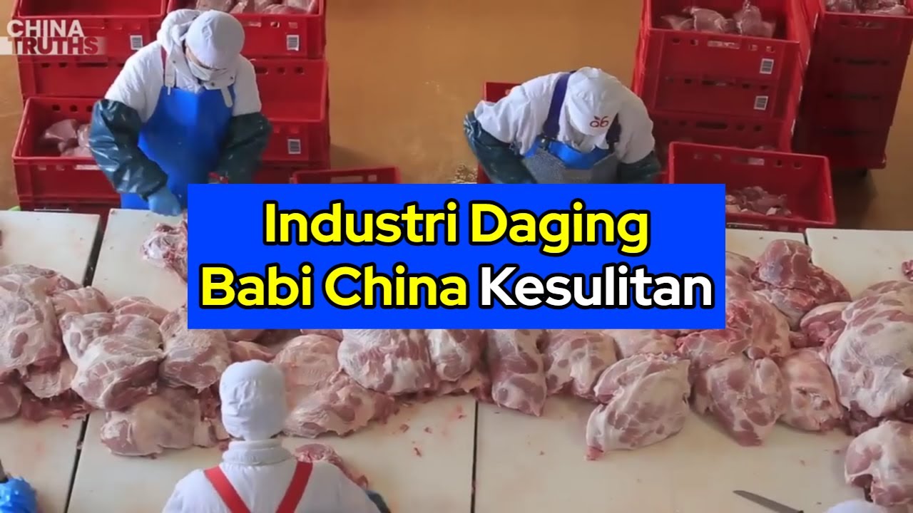 Industri Daging Babi China Bergulat Dengan Gejolak Finansial - YouTube