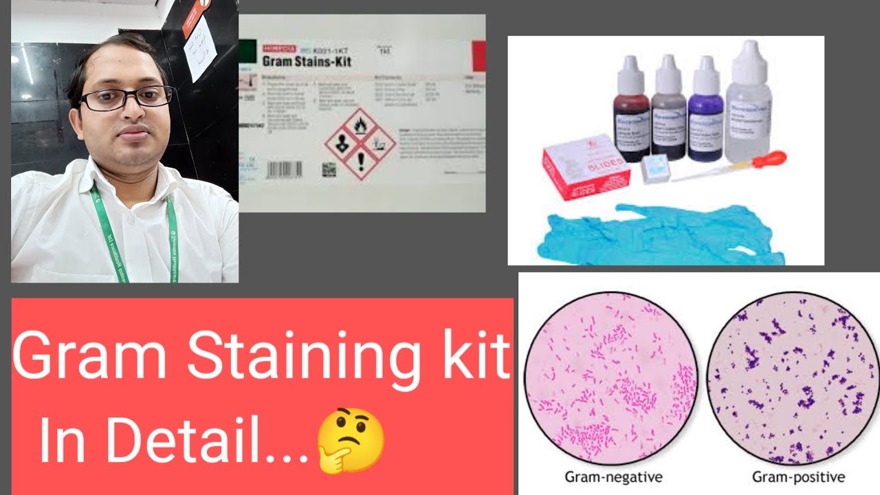 Gram Staining kit || All information|| - YouTube