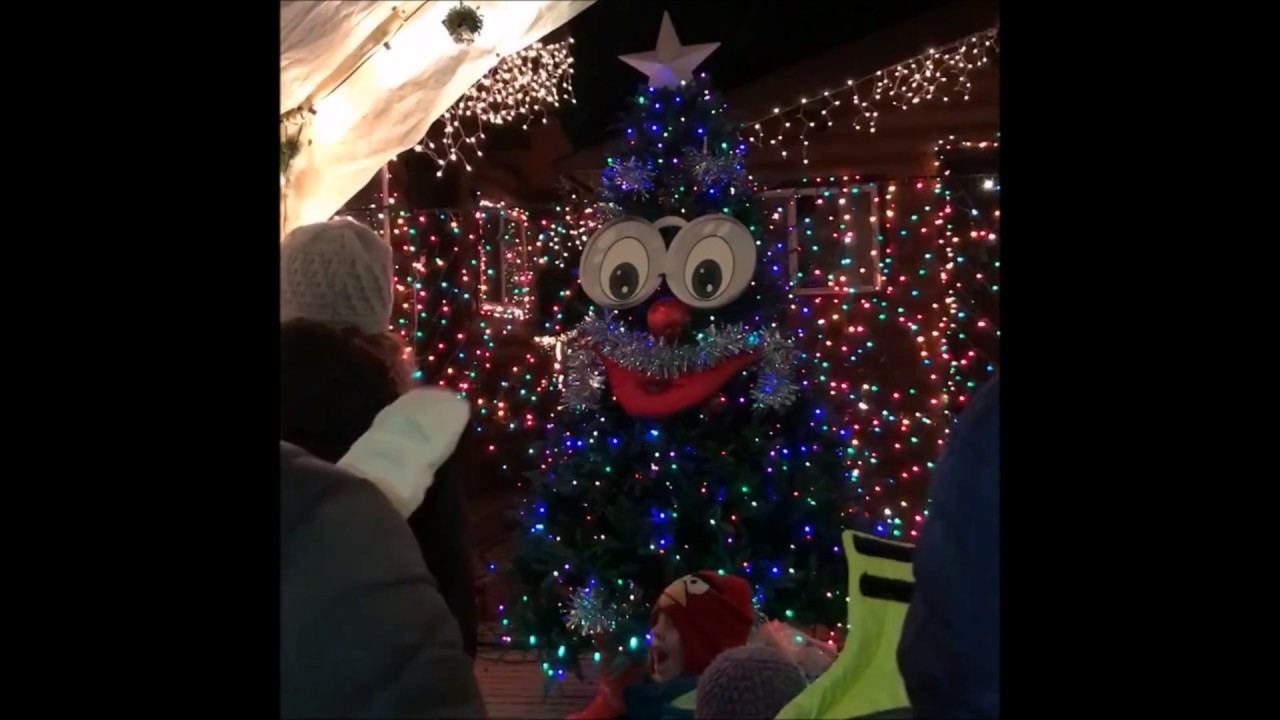 Bruce the Spruce - YouTube