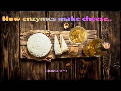 How Are Enzymes Used In Cheese Making