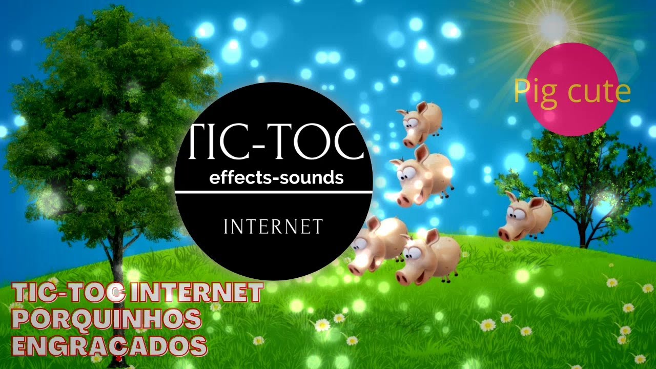 TIC-TOC internet effects-sounds PORQUINHOS ENGRAÇADOS - YouTube