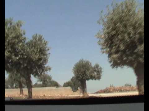 Gaziantep Kayalar Köyü 2.wmv