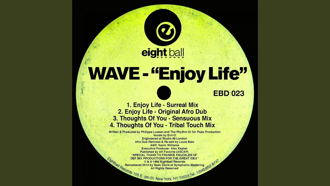 Enjoy Life (feat. Evil-O) - YouTube