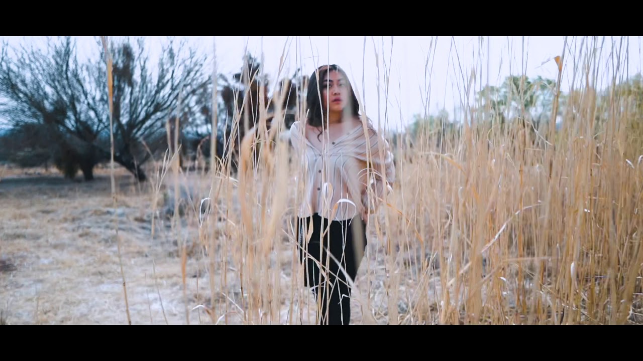 Cinematic Video | Love Songs | Sony A73 - YouTube