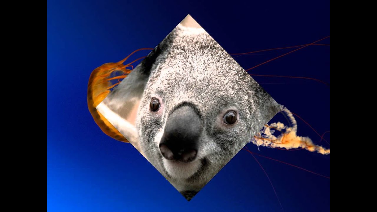 Window 7 sample pictures - YouTube