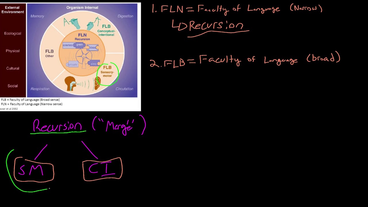 2.1 | FLN & FLB - YouTube