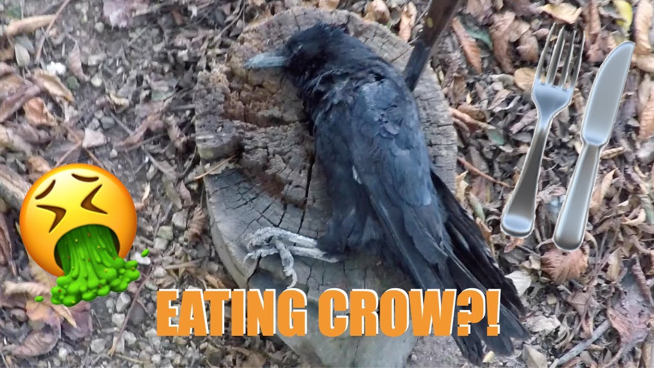 Trying Crow for the first time!!! Catch and cook - YouTube