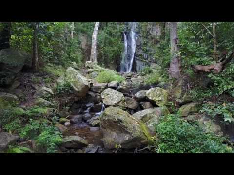 Lekgalameetse Nature Reserve - YouTube