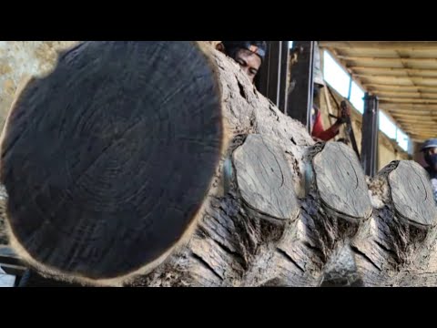 OMG || Woodworkers Trade Blows While Sawing Wood