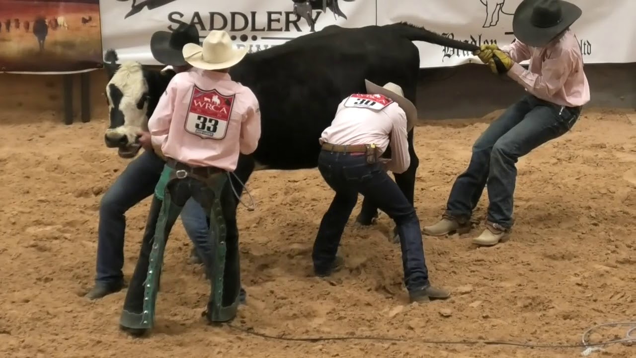 Wild Cow Milking - 2019 WRCA World Championship Ranch Rodeo (Friday ...