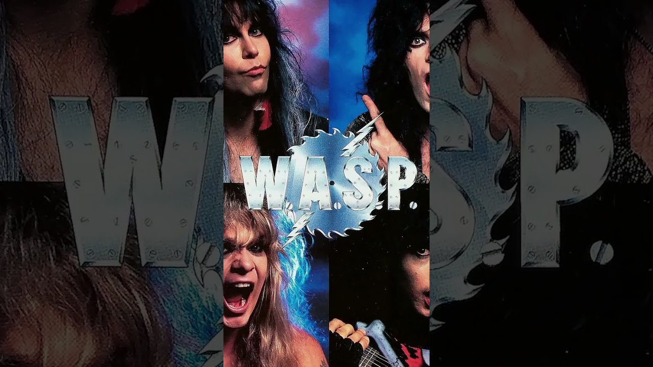 Wasp Band Wallpaper
