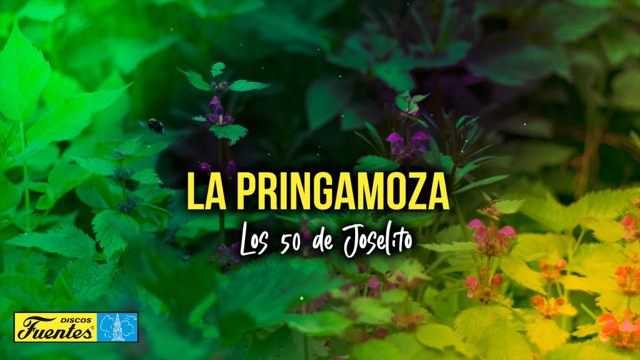 La Pringamoza - Los 50 de Joselito (VIDEO LETRA) - YouTube