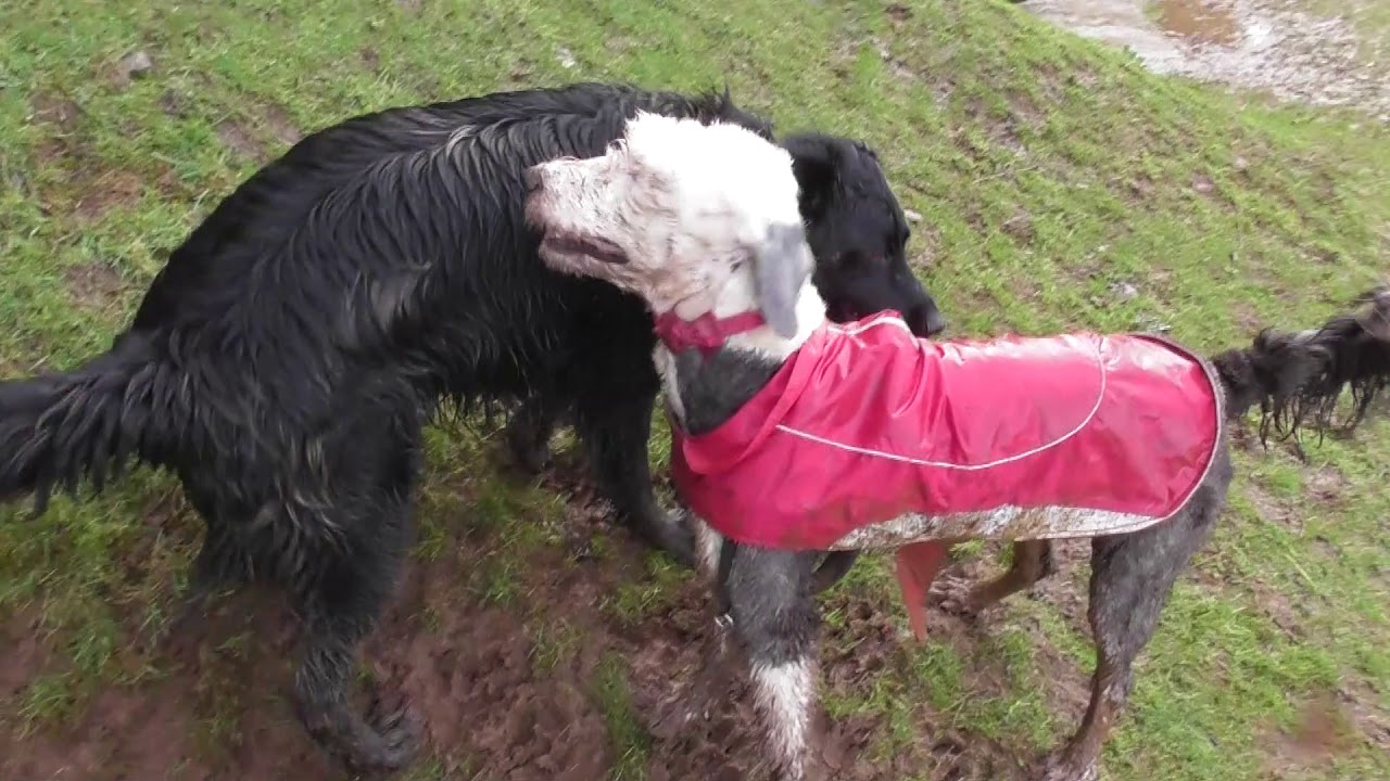 Bear's Bites 16/02/2020 Part 2 of 3 - YouTube