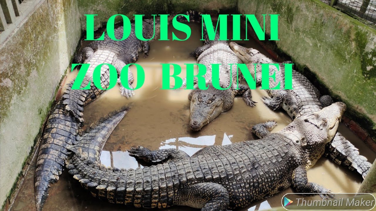 LOUIS MINI ZOO BRUNEI[PART 2] - YouTube