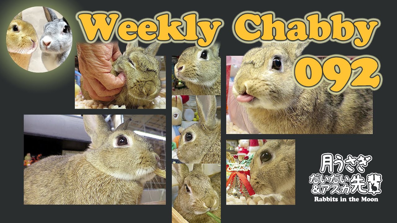 Weekly Chabby 092 - YouTube