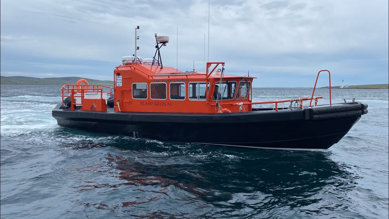 Island wildcat #1 - YouTube