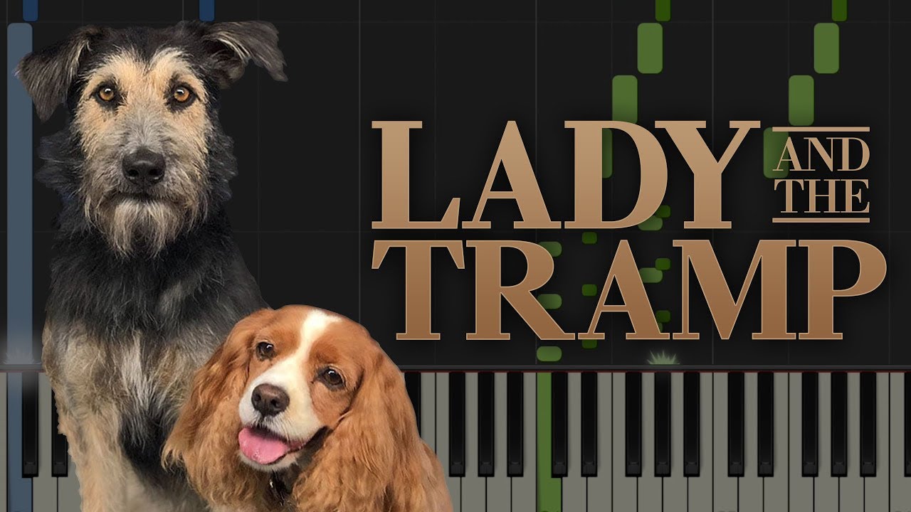 Bella Notte - Lady and the Tramp | Piano Tutorial - YouTube