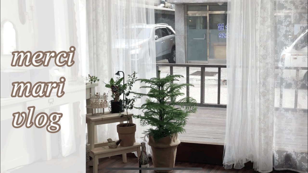 공방 Vlog 앙금플라워 공방 브이로그 주문없는 날 딸기모찌만들기 주문케이크 만들기 파라핀치료 쌀가루빻기