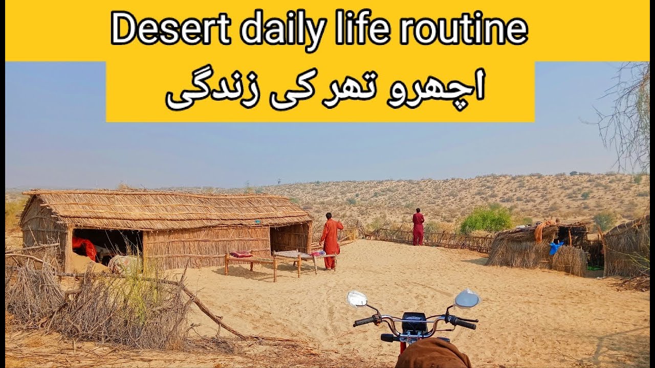 Desert life | Desert cooking desert daily routine| Desert homes huts ...