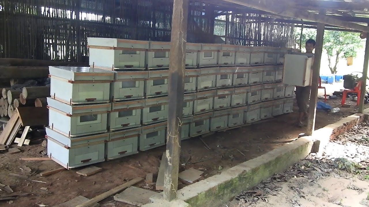 Khmer beekeeping building beehive at beekeeper's workshop - YouTube