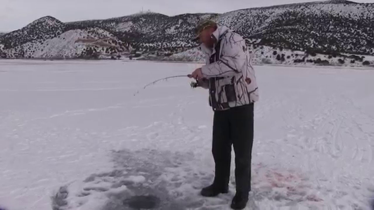 Cisco Fishing 2016 part 2 - YouTube