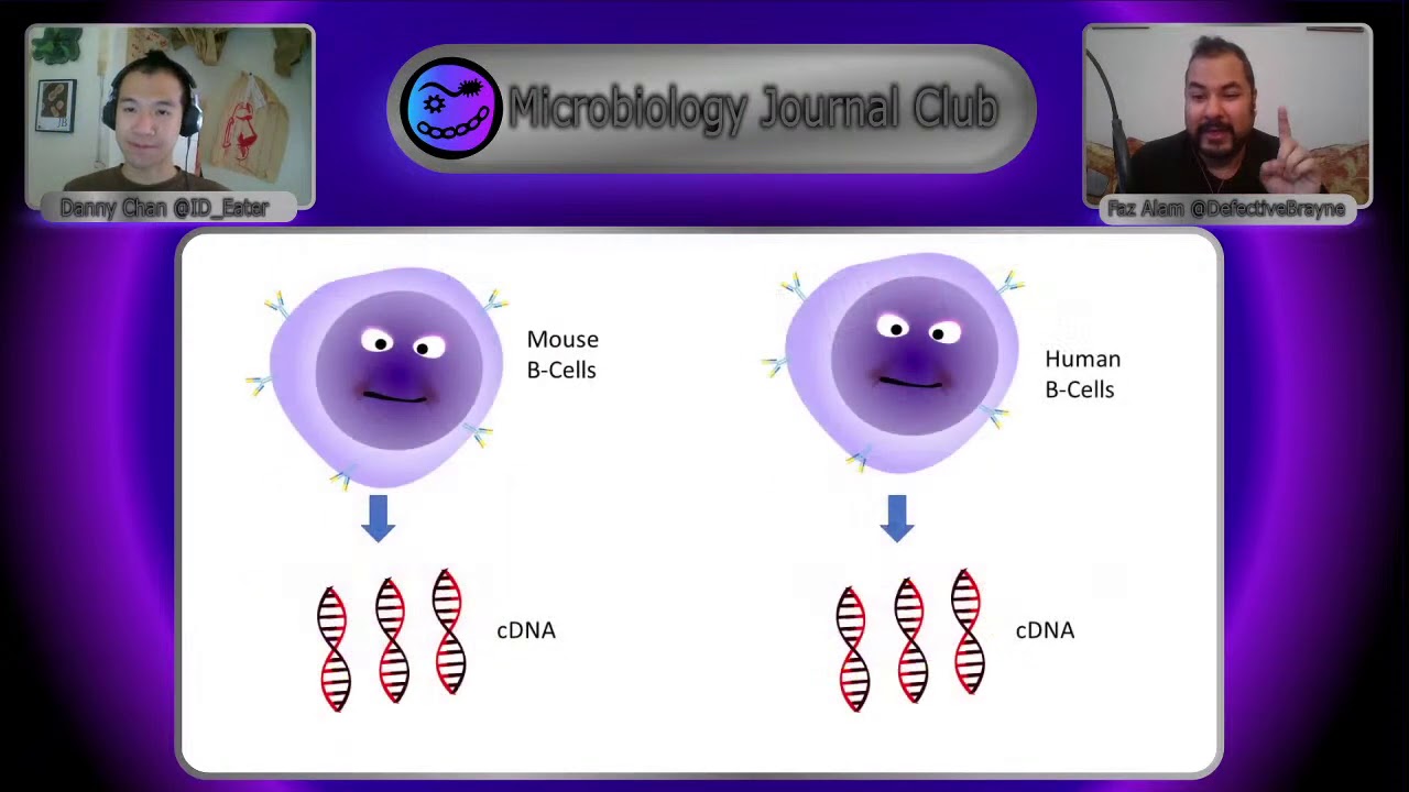 How REGN-CoV-2 Antibody Cocktail was devised: A Deep Dive and ...