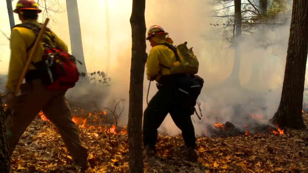 Handline Construction for Forest Fire Control - YouTube