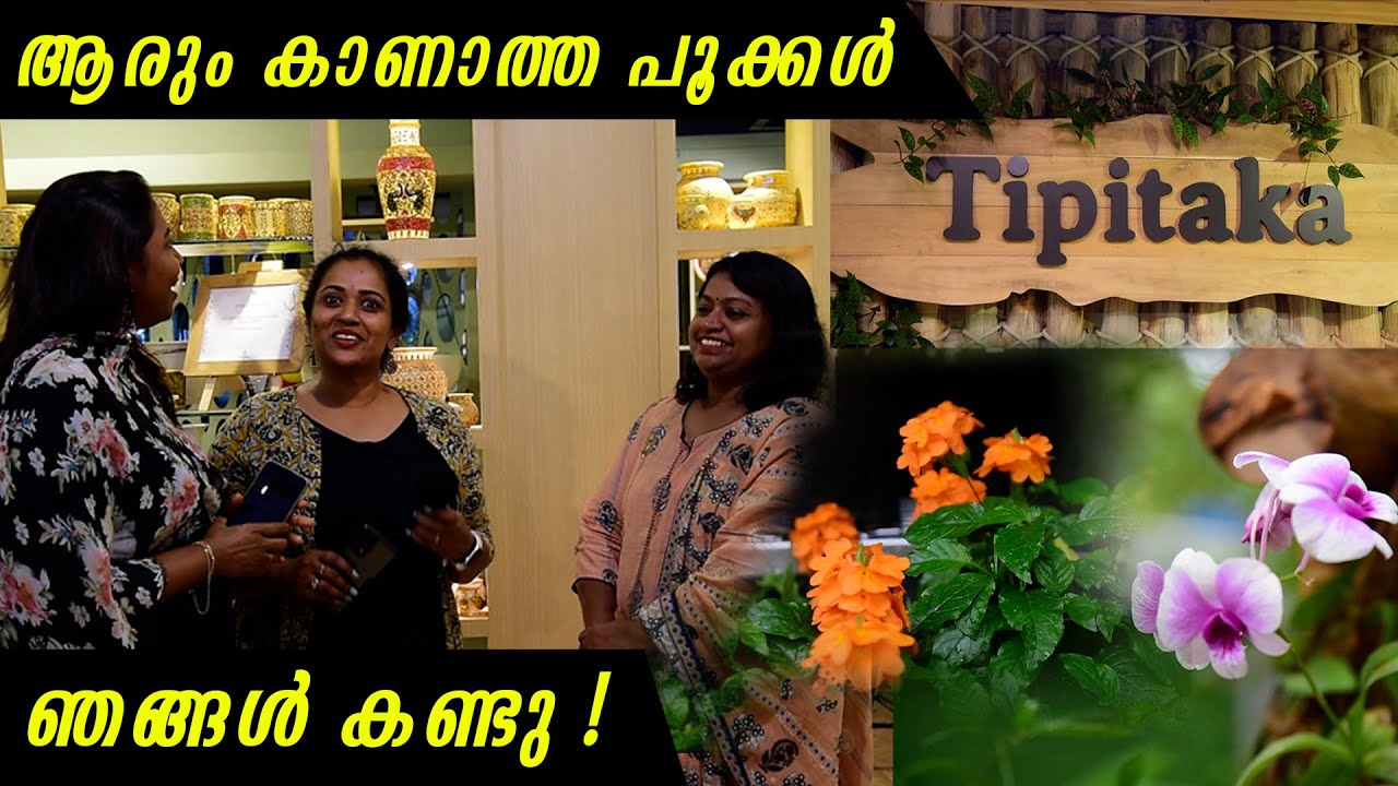 Best Flower & Pot Collection in Trivandrum Tipitaka | Blackies Vlog ...