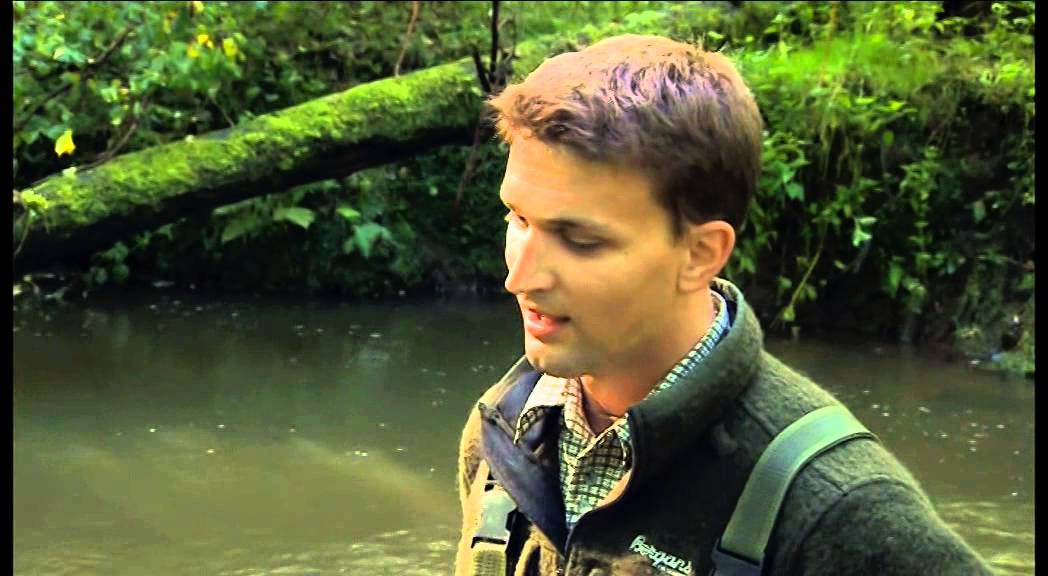 BBC News - Otter found in the River Rother for the first time since ...