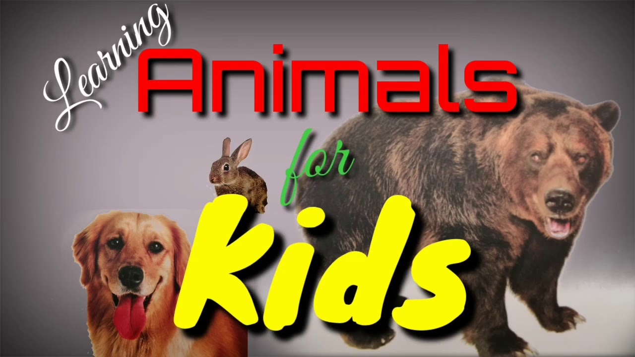 Learning Animals for Kids | 44 Easy to Learn Animals with Names and ...