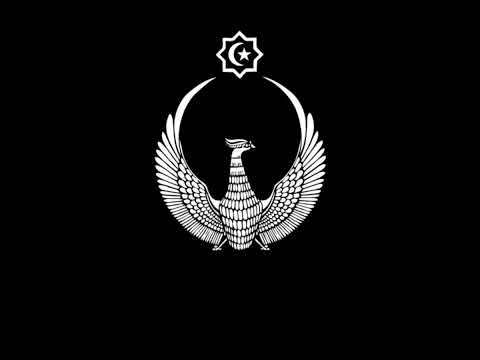 Ozon (carrozzeria zal) #uzbekistan#rek 