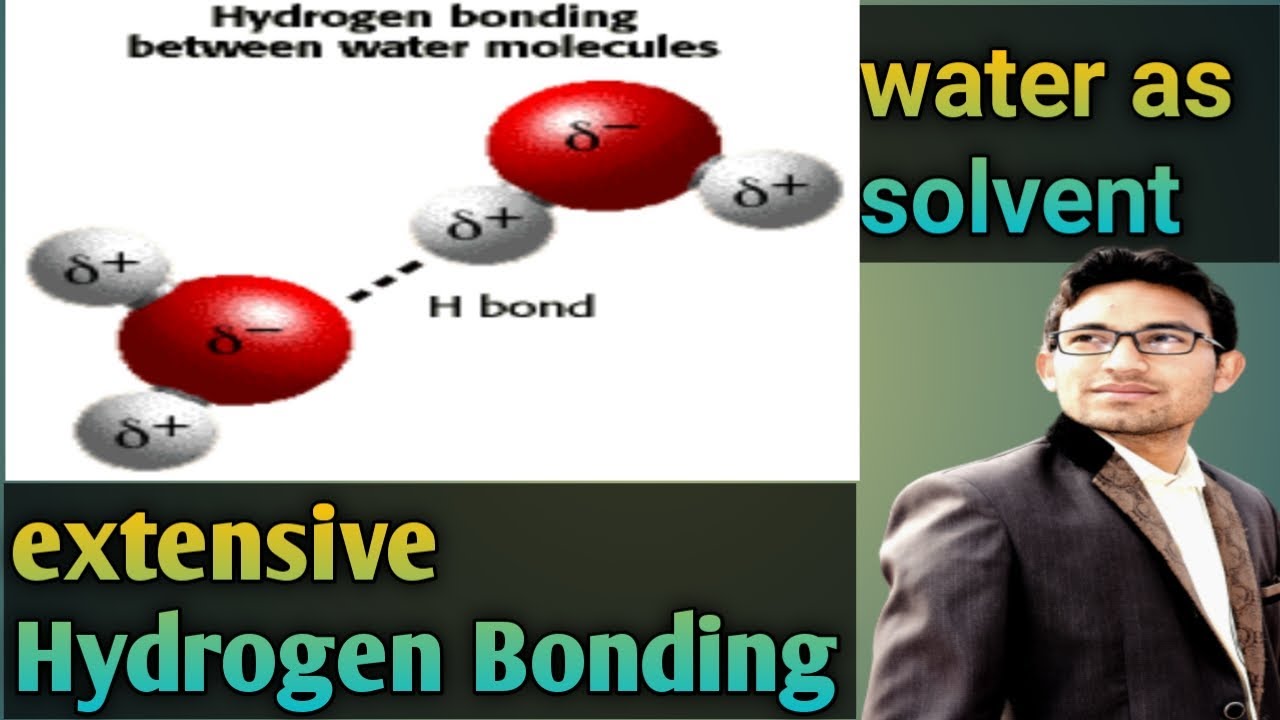 extensive Hydrogen bonding in water - YouTube