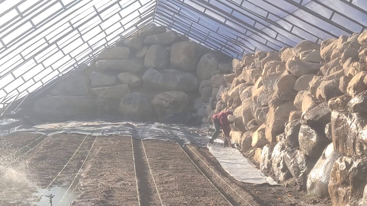 Nevada Walipini Update November 5, 2020 - YouTube