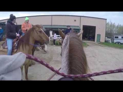 Raw Unedited Footage: Caliridge Farm Trail Ride 1 - YouTube