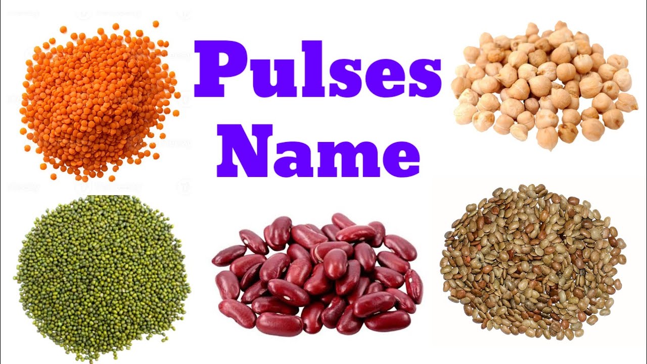 Pulses Name in English for kids | English for kids - YouTube