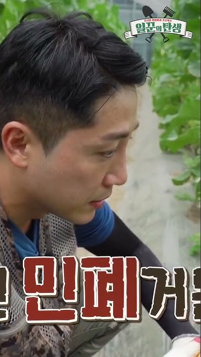 [일꾼의 탄생] 멜론 수확은.. 애기 다루듯이 살살~ 조심~ #shorts | KBS 220928 방송 - YouTube