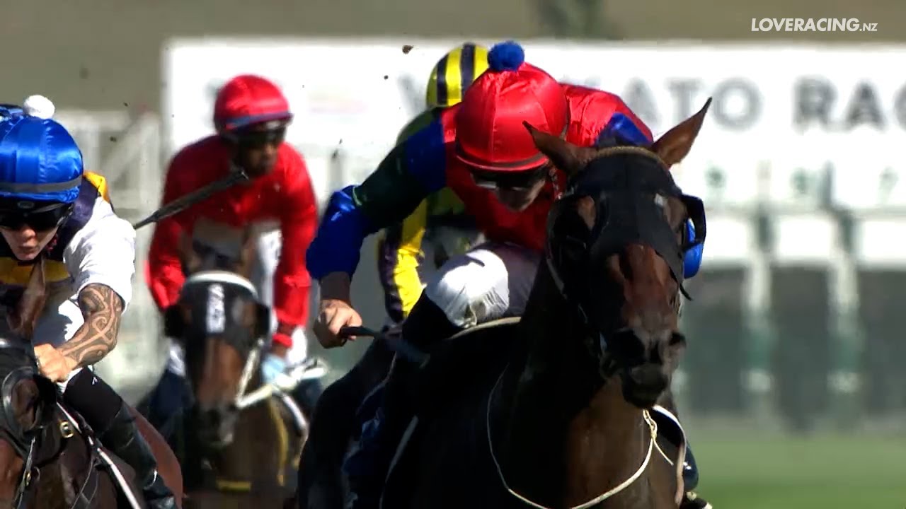 Sharp'N'Smart proves his worth in the Gr.1 Auckland Thoroughbred Racing ...