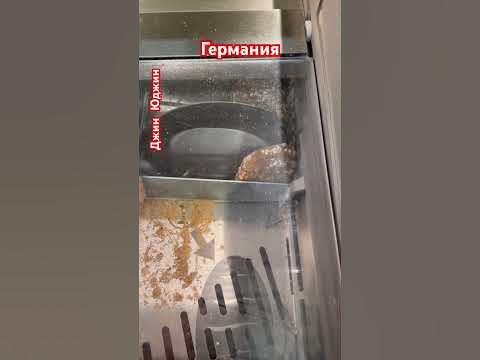 Хлеборезка в магазине - YouTube