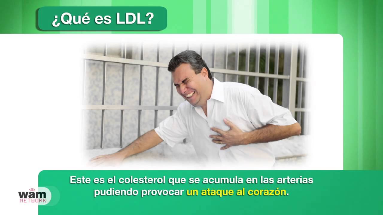 LDL Cholesterol Spanish Voiced - YouTube