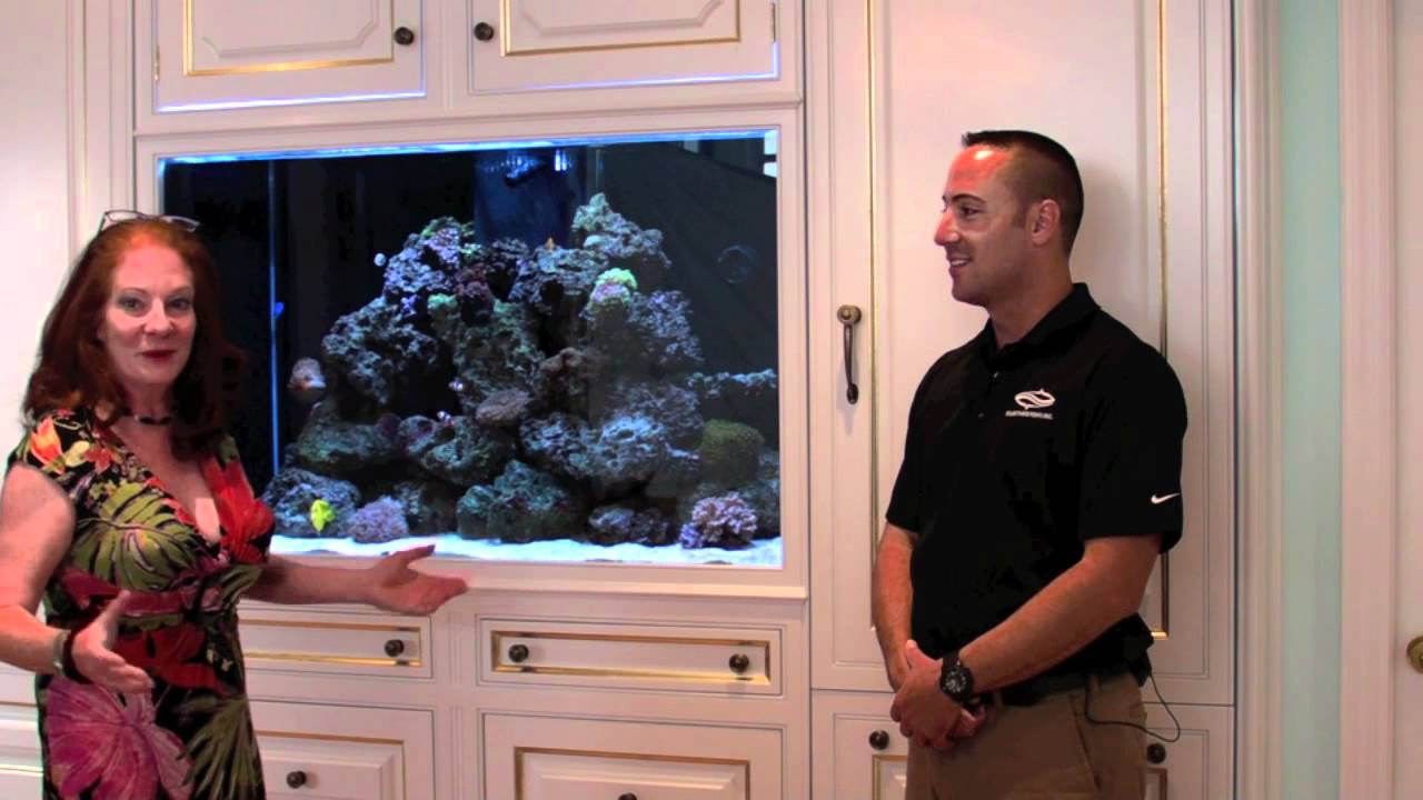 Fish Guy TV Custom Built-In Aquariums - YouTube