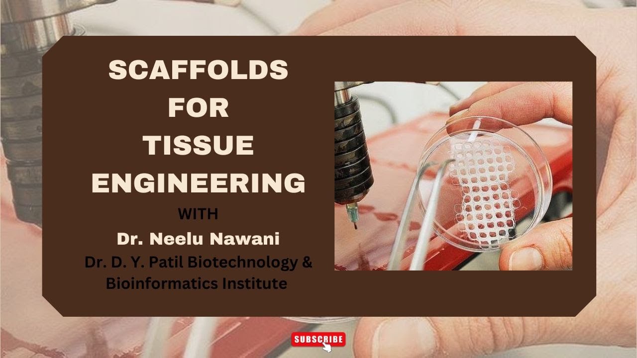 Scaffolds for Tissue Engineering || Biotechnology - YouTube