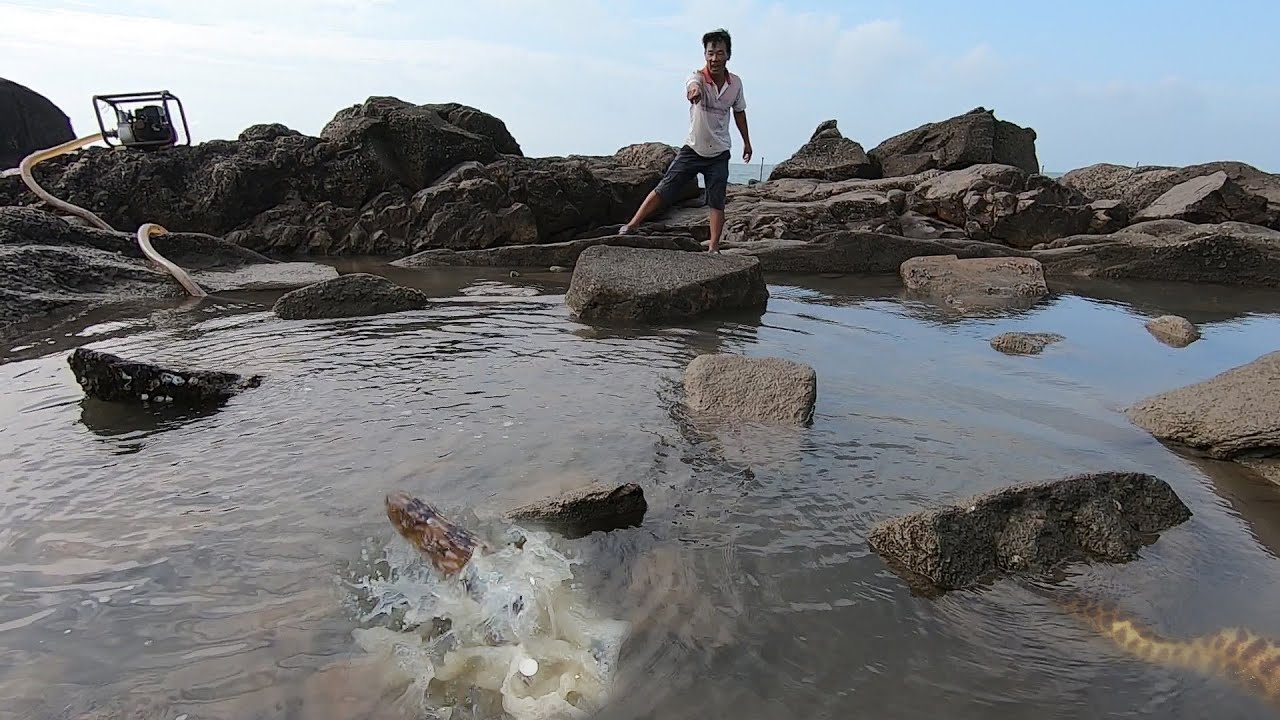 几十斤猪血倒200平水坑诱鱼，3天后“龙猫争霸”好精彩，太给力了 - YouTube