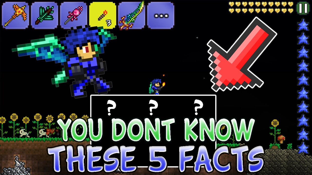 5 Terraria Facts That Only Old & Experienced Players Know About - YouTube