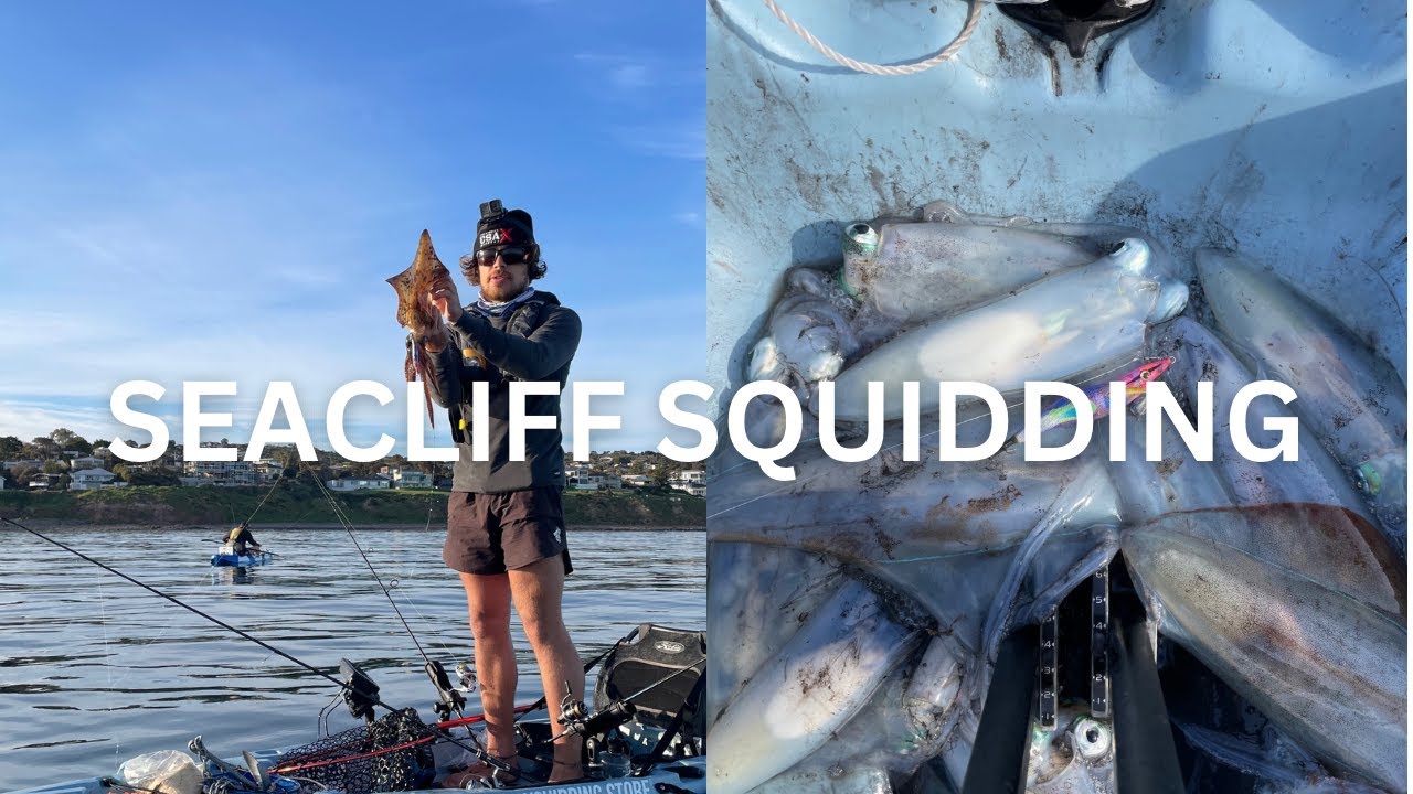 SQUID EVERYWHERE!!! Seacliff Squidding -EP 21- - YouTube