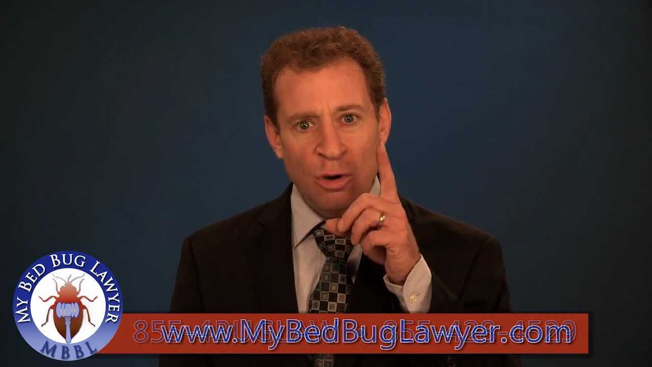 My Bed Bug Lawyer • (1) Welcome - YouTube