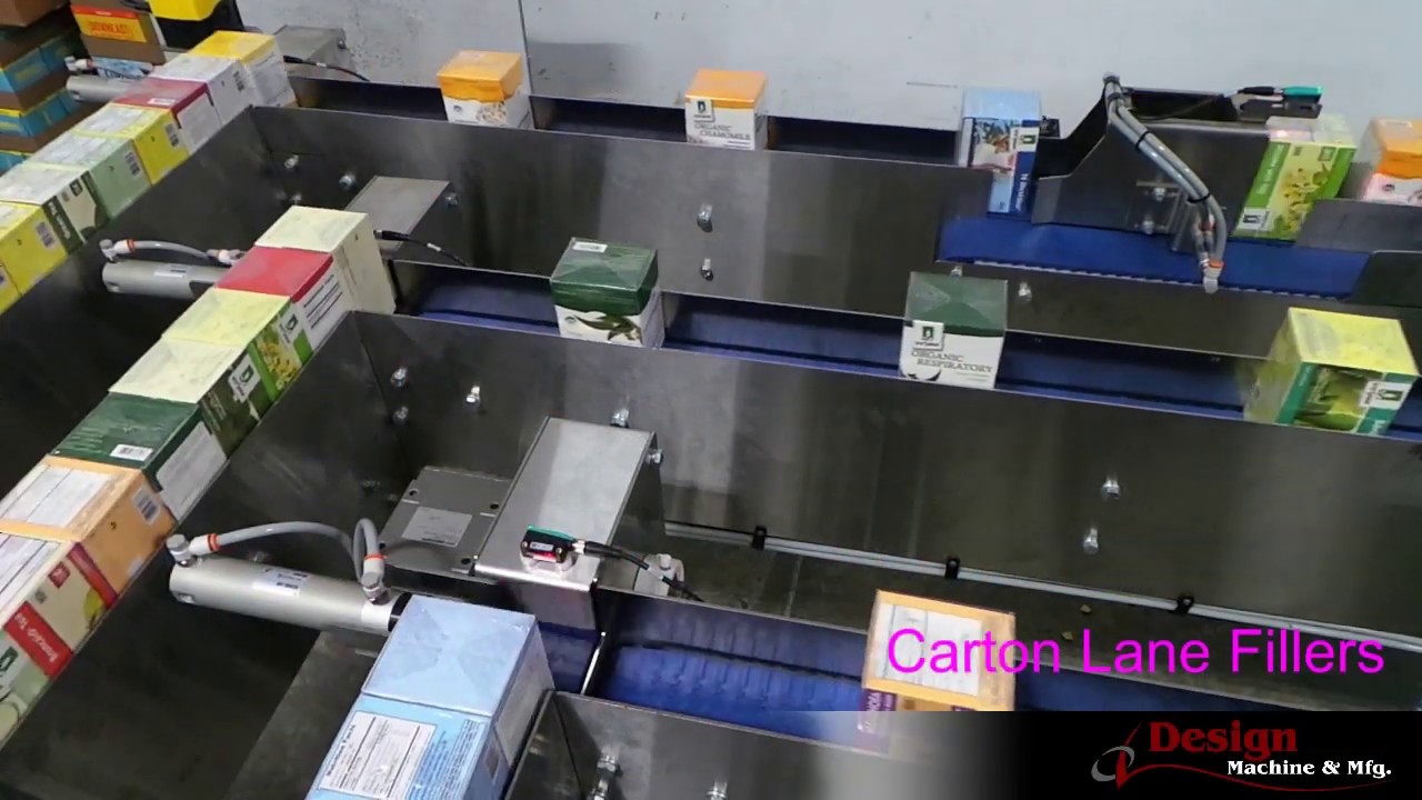DMM Model CTC-30-B Case Packer with Bucketed Infeed - YouTube