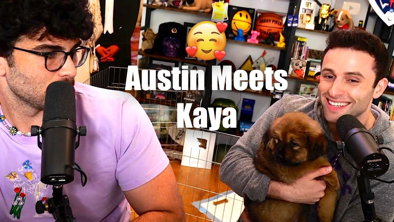 Austin Meets Hasan's New Puppy For The First Time | HasanAbi Reacts ...