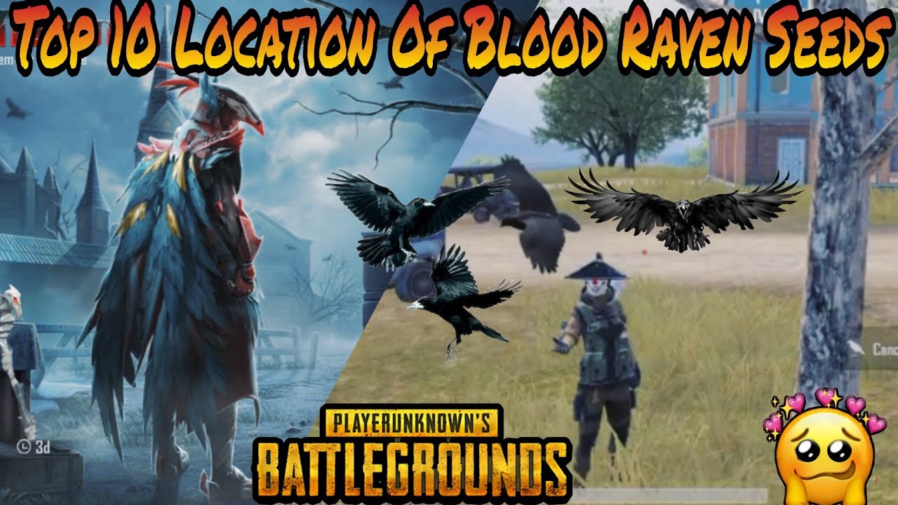 Top 10 Locations Of Blood Raven Seeds In Pubg Mobile || Pubg Mobile ...